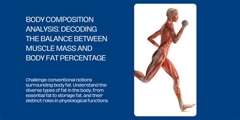 Image result for Body Composition Muscle