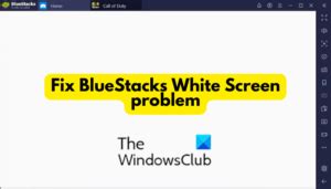 Image result for Bluestack Screen Problem