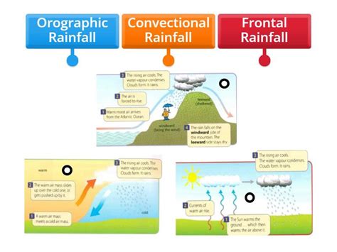 Image result for Animation of Types of Rainfall