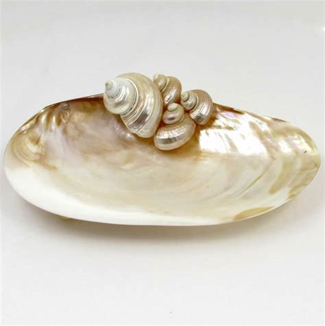 Image result for Crafts Using Oyster Shells