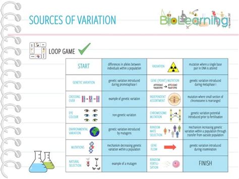 Image result for Sources of Variation