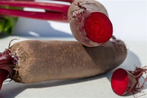 Image result for Beet Varieties for Containers