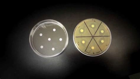 Image result for Disk Diffusion Method
