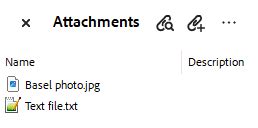 Image result for Embedded Files