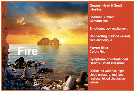 Image result for Heart Protector Channel TCM