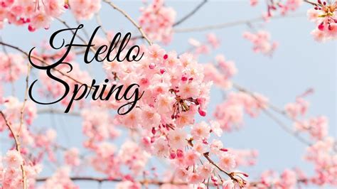 Image result for Hello Spring Desktop Background