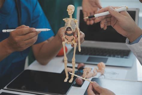 Image result for C4D Medical Modeling