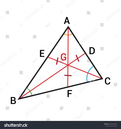 Image result for Segment Bisector Real Life Example