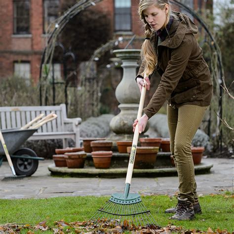 Image result for Springbok Rake