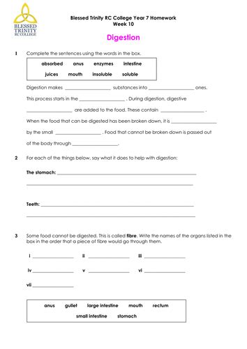 Image result for Homework Digestive System