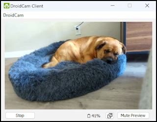 Image result for Using Phone Camera On PC