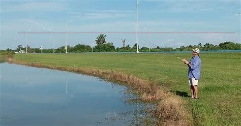 Image result for Fly Cast Tailing Loop