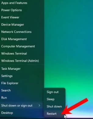 Image result for Zoom Windows 11 Problem