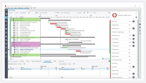Image result for Primavera Training