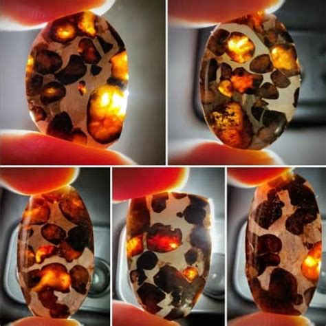 Image result for How to Check a Meteorite