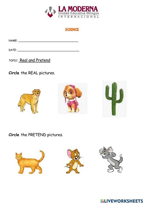 Image result for Real and Virtual Image Difference Worksheet