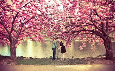Image result for Spring Background