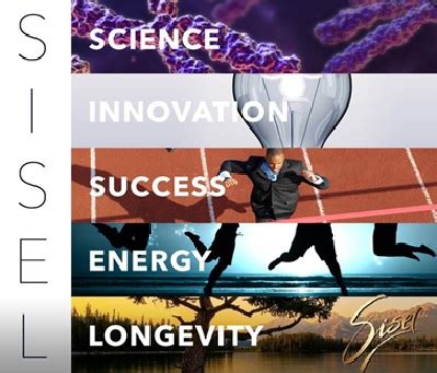 Image result for Sisel Tolas Work