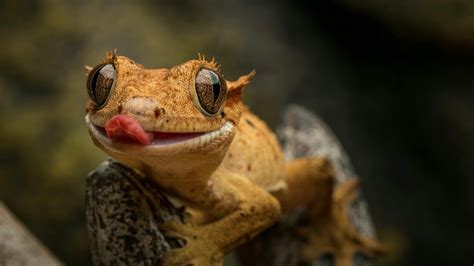 Image result for Generating Questions