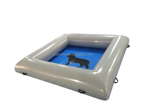 Image result for Inflatable Dog Pool