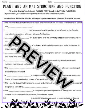 Image result for 4 Class Science Lesson 2