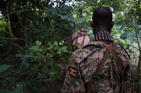 Image result for Kony Java