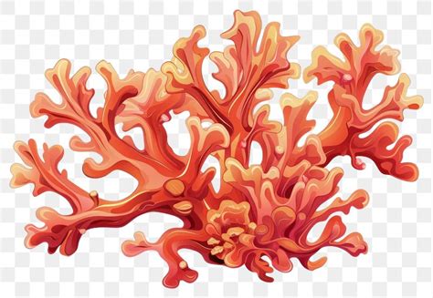 Image result for Water Pattern PNG