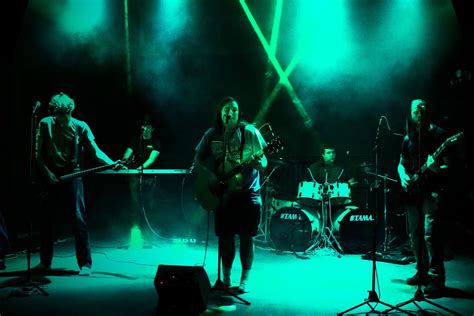 Image result for Arctic Python