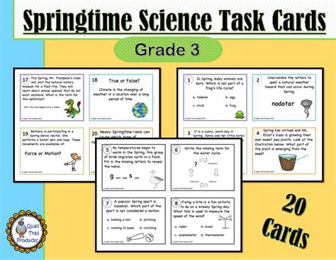 Image result for 3rd Grade Science Task Cards