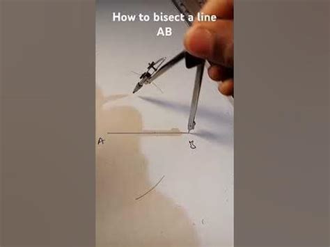 Image result for Bisect a Linee