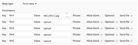 Image result for How Files Are Send through API