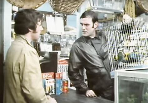 Image result for Monty Python Parrot