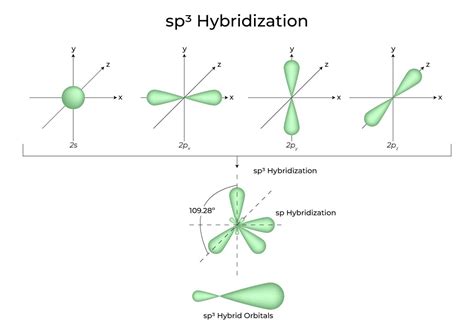 Image result for SP2 Hybridization Examples