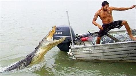 Image result for Fish Fail