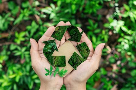 Image result for Stewardship Program