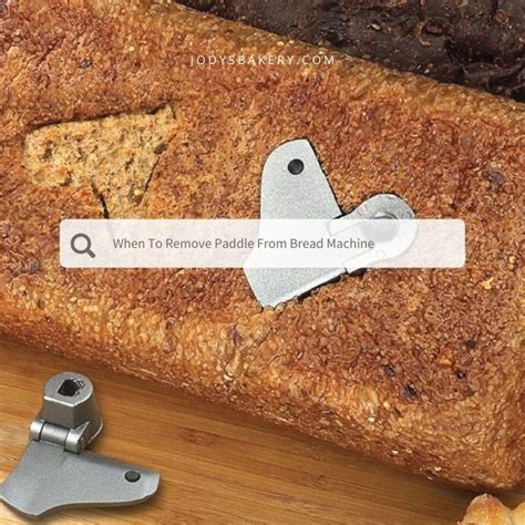 Image result for How to Remove Paddles While Using Bread Machine