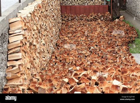 Image result for Split Log Texture