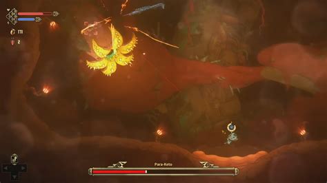 Image result for Pronty Developer