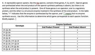 Image result for Operon System