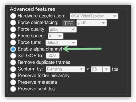 Image result for Shutter Encoder WebM With Alpha