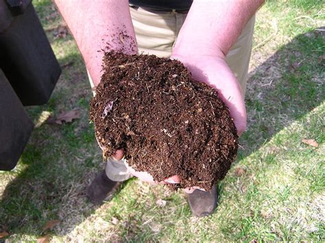 Image result for Using Homemade Garden Compost