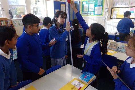 Image result for Springfield Primary School