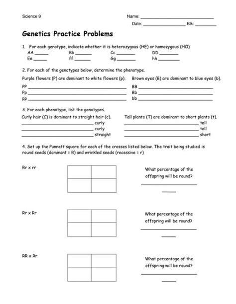 Image result for Genetics Practice Questions