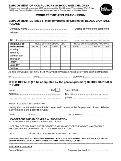 Image result for Work Permit Application Form PDF