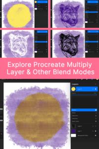 Image result for Procreate Multiply