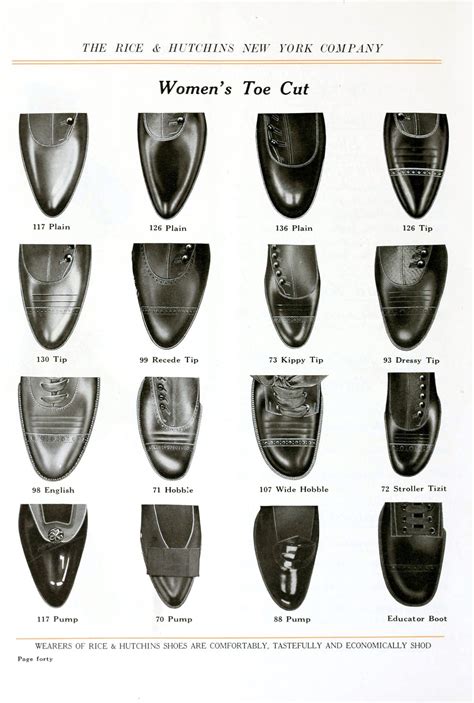 Image result for Different Types of Toes