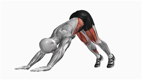 Image result for Pike Push-Up Exercise