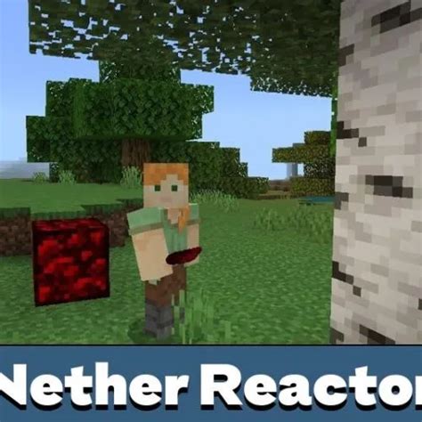 Image result for Minecraft Nether Reactor Core