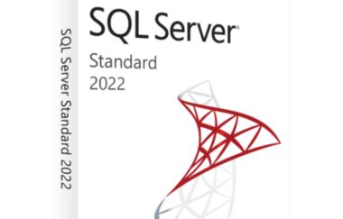 Image result for SQL Server and Word
