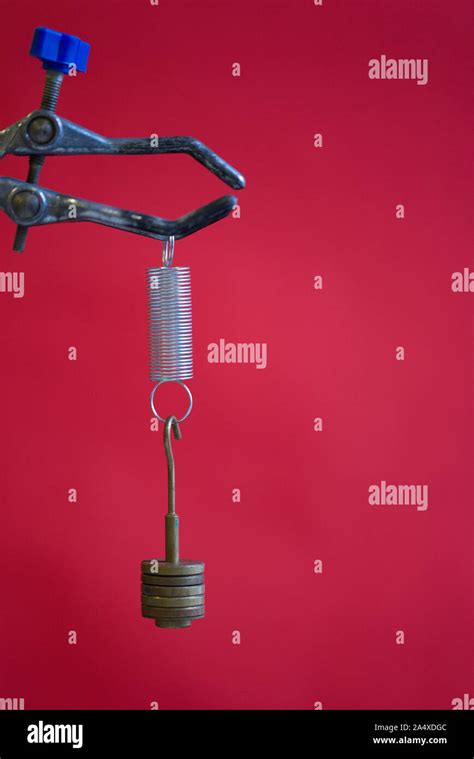 Image result for Spring Hooke Physics